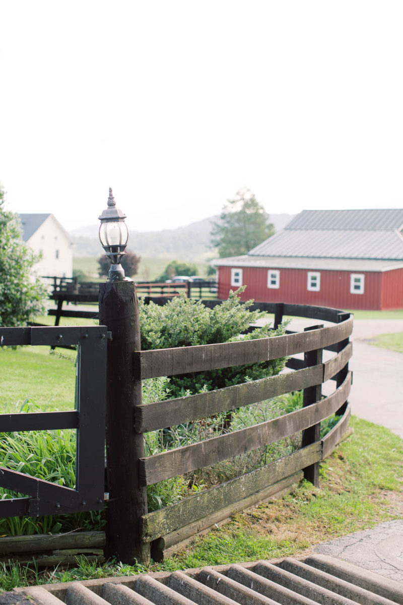 Early Spring Marriott Ranch Wedding in Virginia's Blue Ridge Mountains